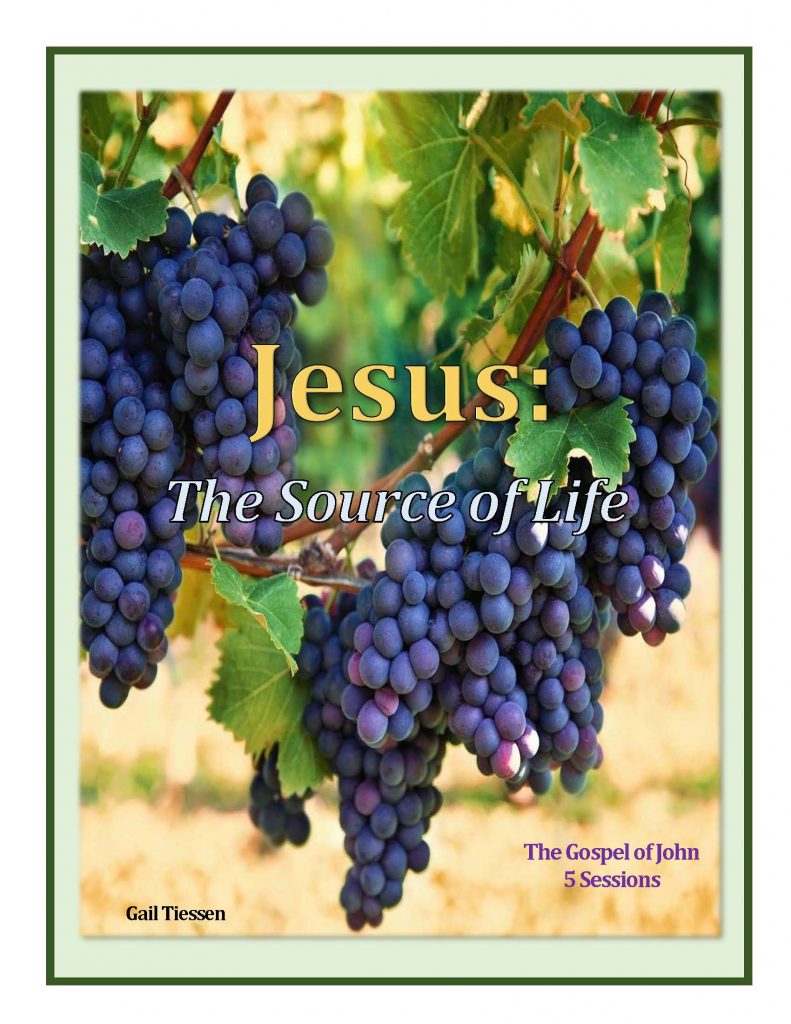 Jesus: Source of Life Abridged | JoyTwoPublications